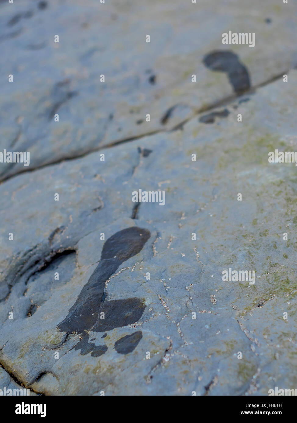 View of footsteps on rock Stock Photo - Alamy