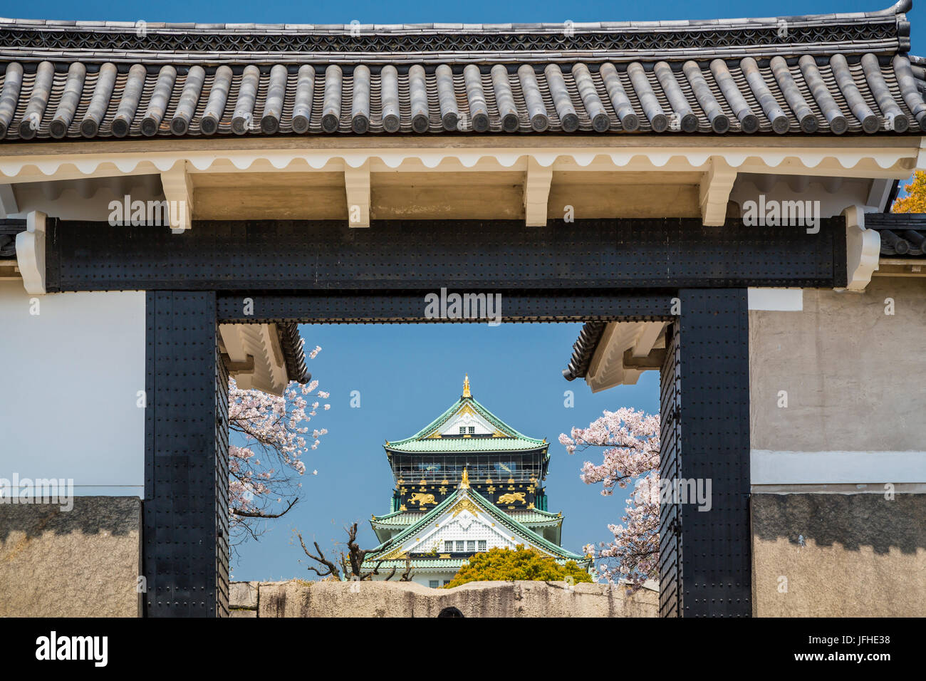 Cherry blossoms trees and the Osaka Castle in Osaka, Japan Stock Photo ...