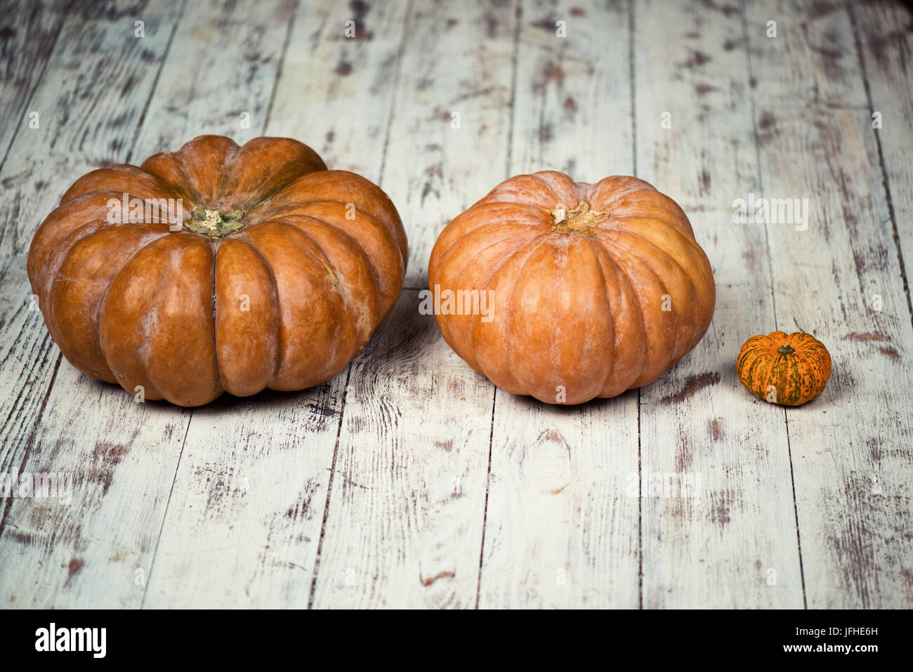 Three ripe autumn pumpkins hi-res stock photography and images - Alamy