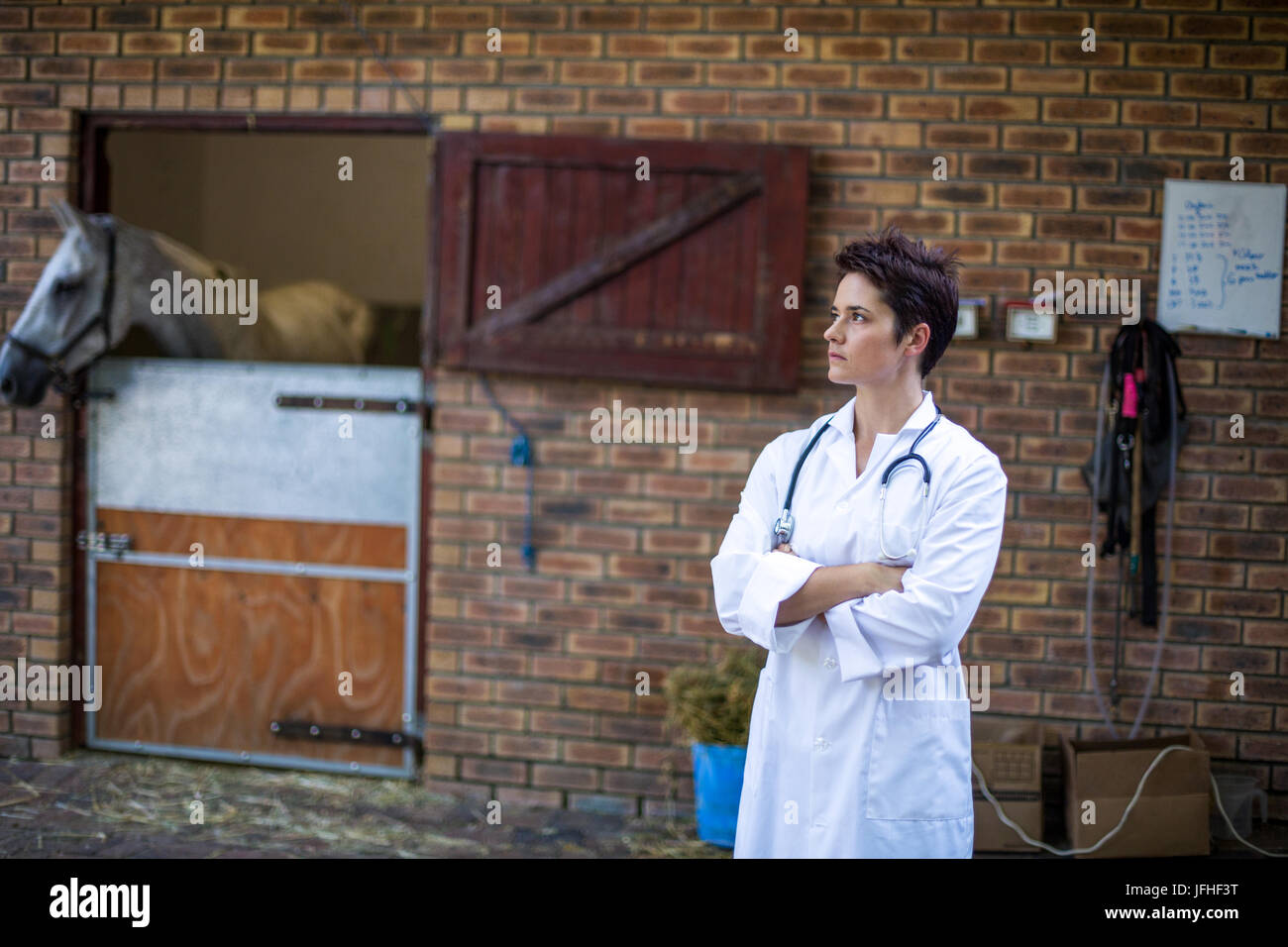 Woman vet posing arms hi-res stock photography and images - Alamy