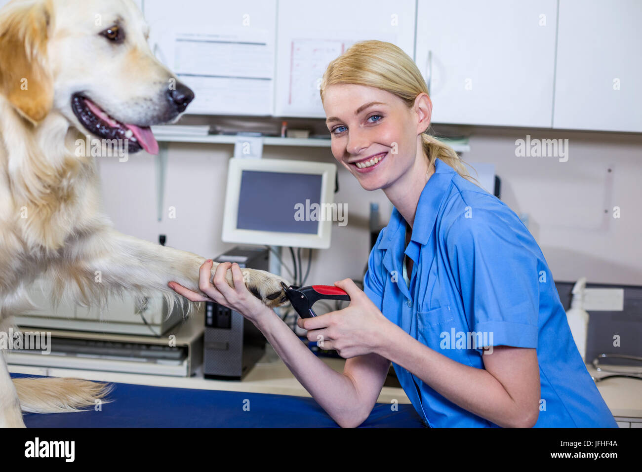 Smiling woman vet taking care of a dog and posing Stock Photo - Alamy