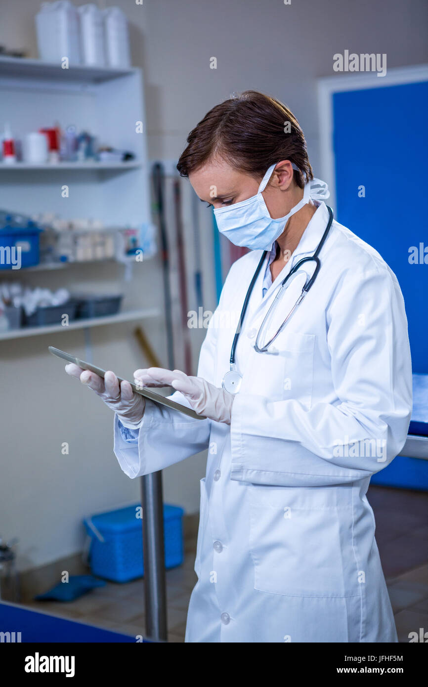 Woman vet wearing a mask is using a digital tablet Stock Photo - Alamy