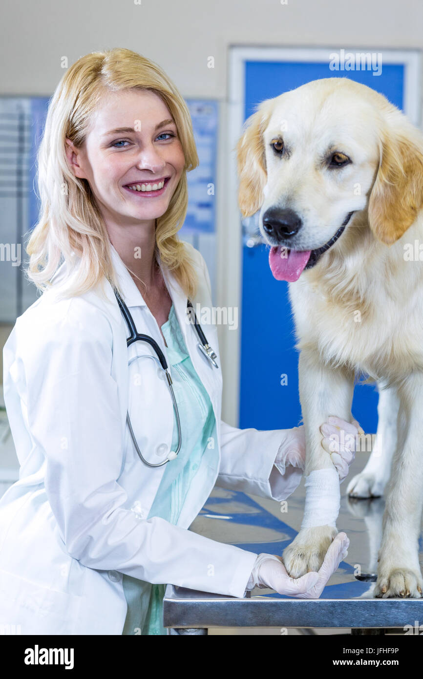 Portrait of woman vet smiling and posing with a dog Stock Photo - Alamy