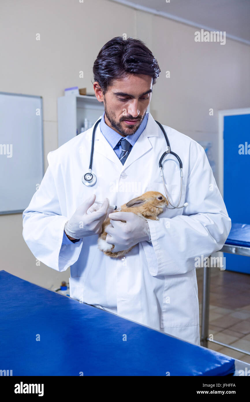 A vet holding a rabbit and preparing an injection Stock Photo - Alamy