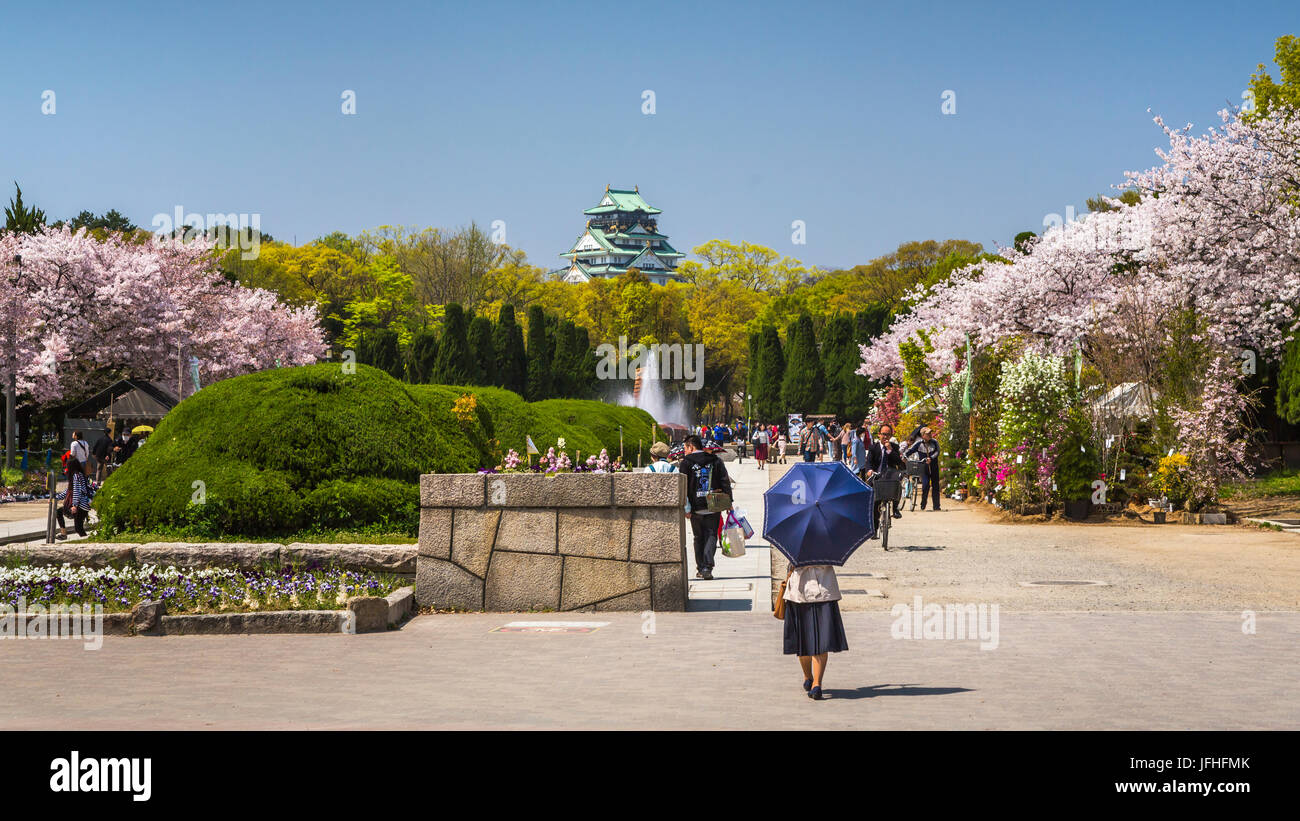 Japanese castle cherry blossoms hi-res stock photography and images - Alamy