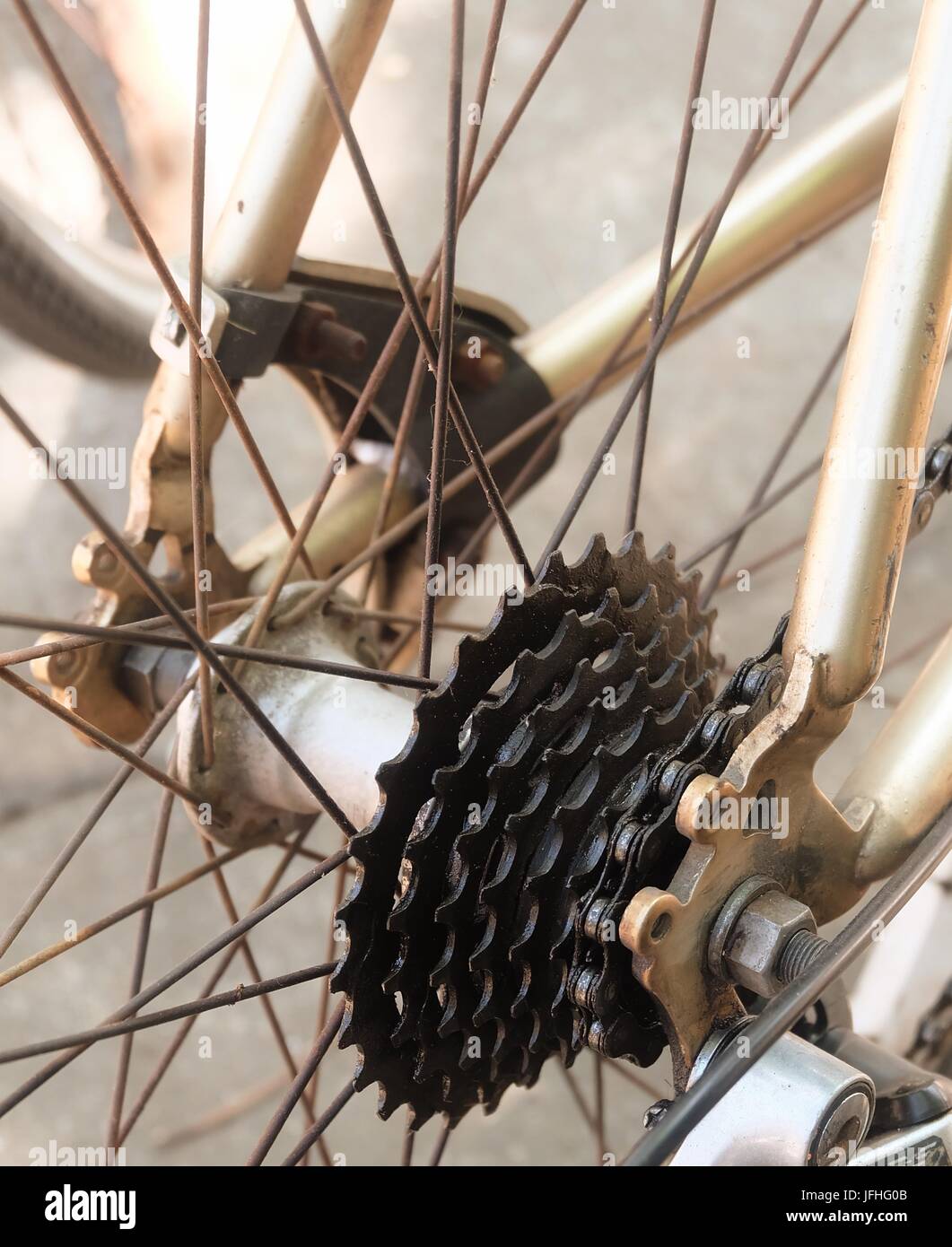 Bicycle Gears, Disc Brake and Rear Derailleur of Mountain Bicycle Bike ...