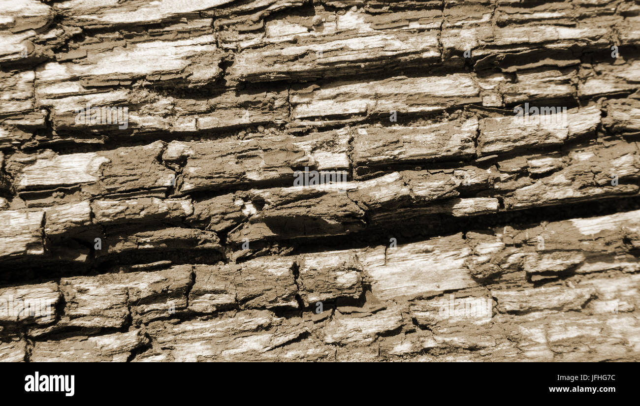 Wood texture with old paint brown colors, horizontal lines, background ...