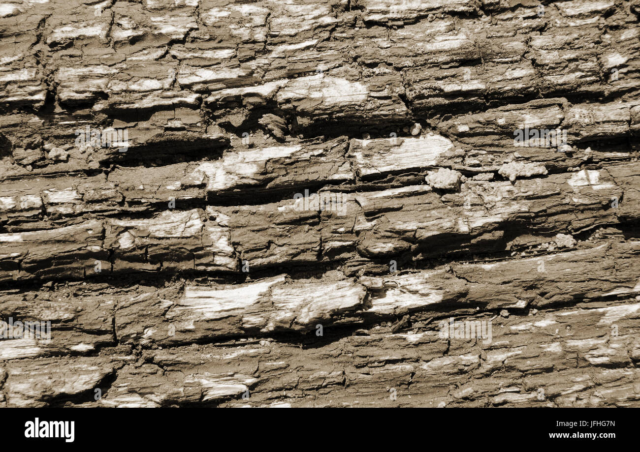 Wood texture with old paint brown colors, horizontal lines, background ...
