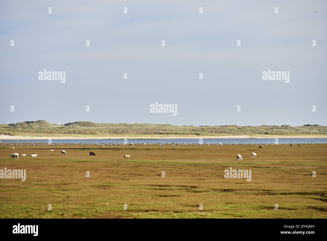 Island sylt insel sylt hi-res stock photography and images - Alamy