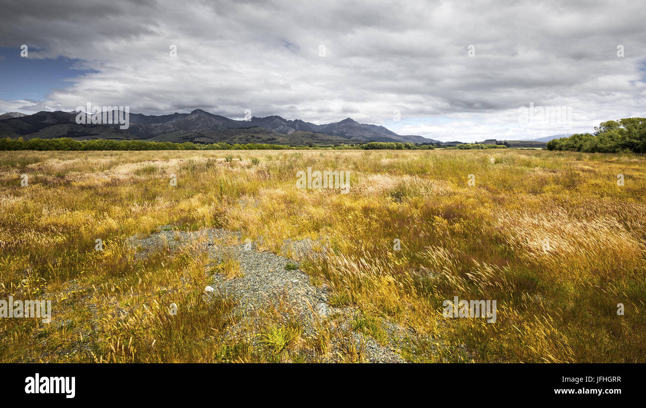 Typical nature in new zealand hi-res stock photography and images - Alamy
