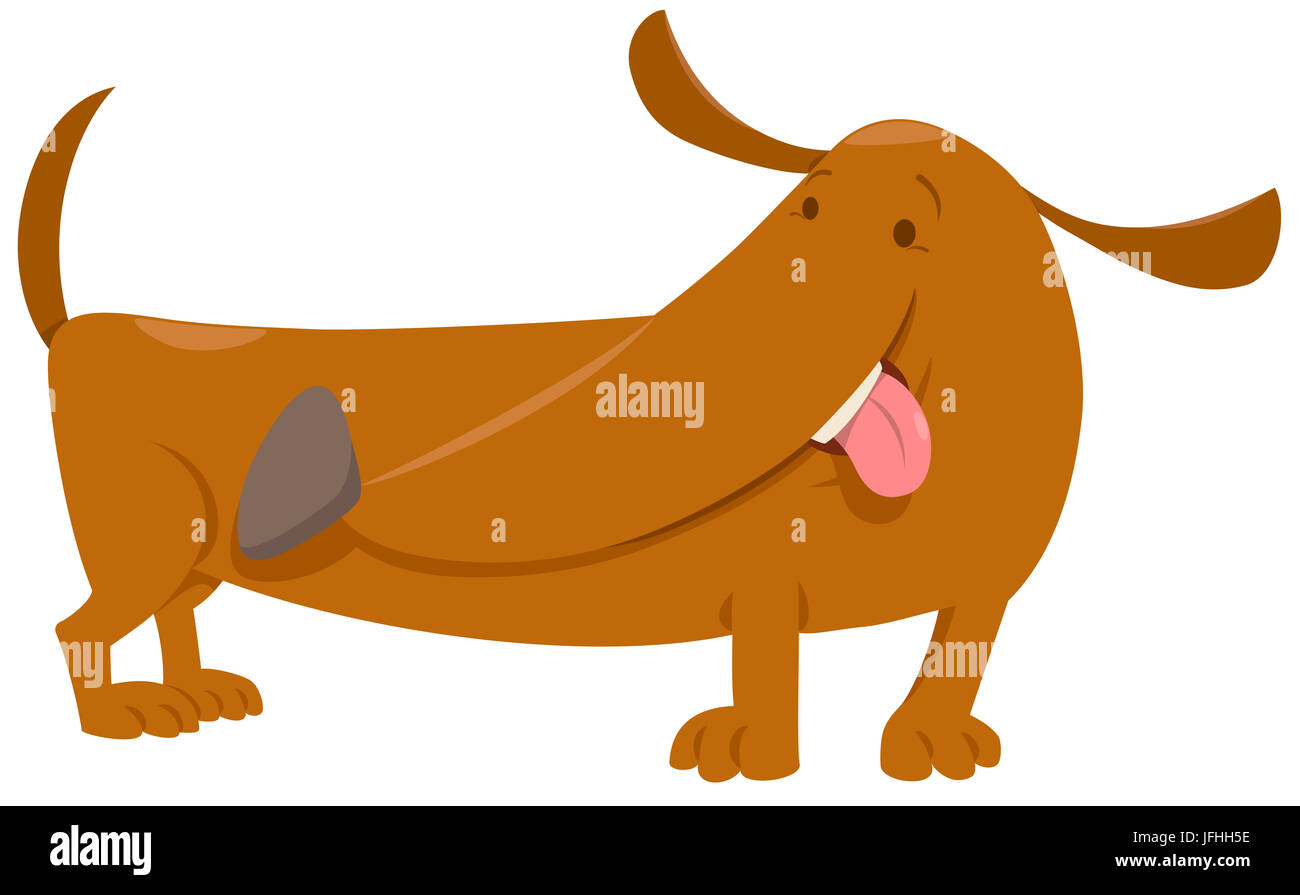 dachshund dog animal character Stock Photo - Alamy