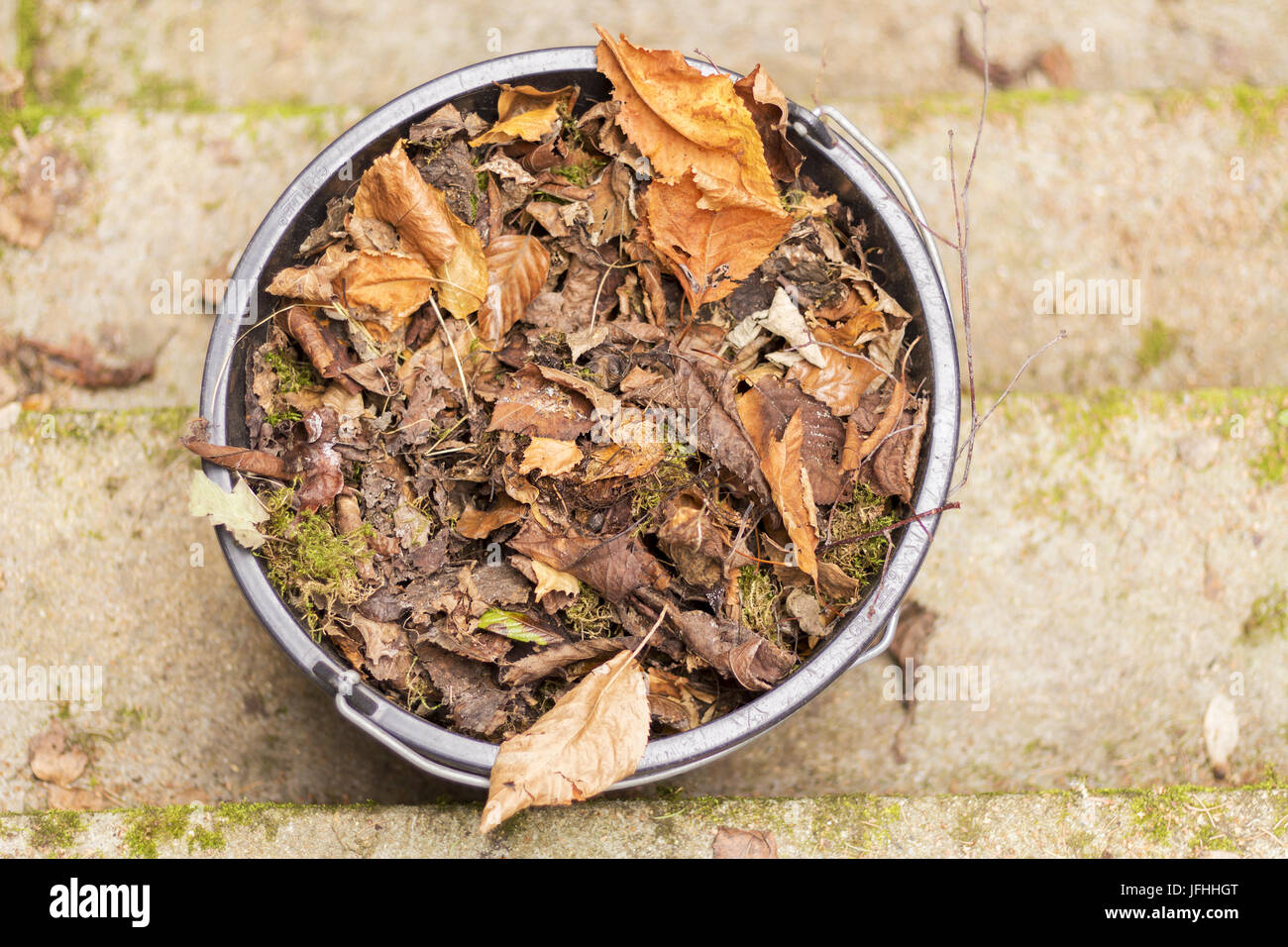 Sweeping autumn leaves hi-res stock photography and images - Alamy