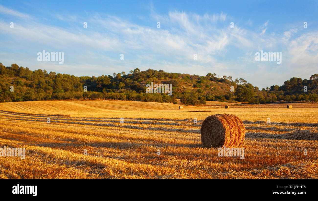 Stack of hay Stock Photo - Alamy