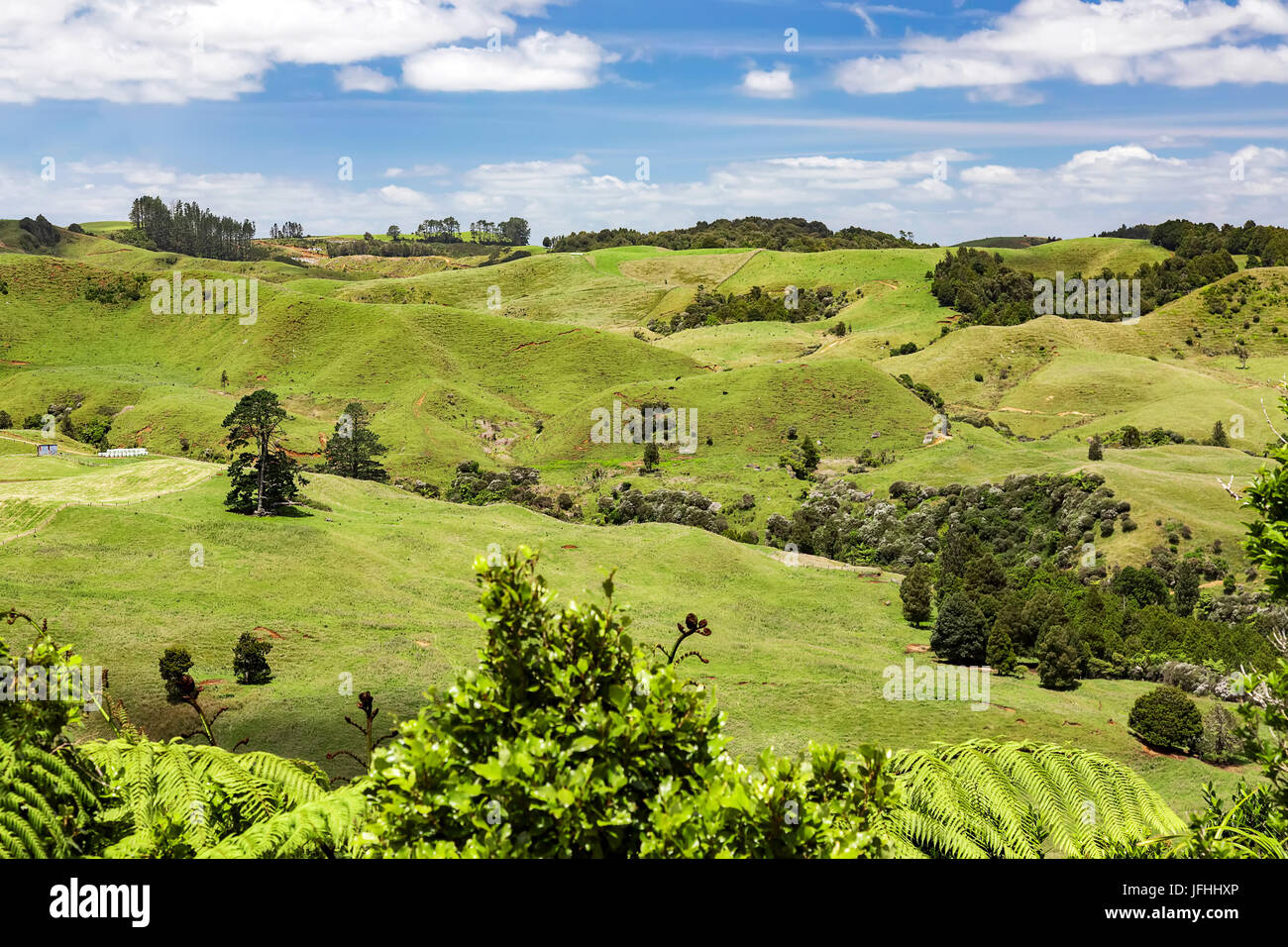 New zealand landscape new zealand landscape hi-res stock photography ...