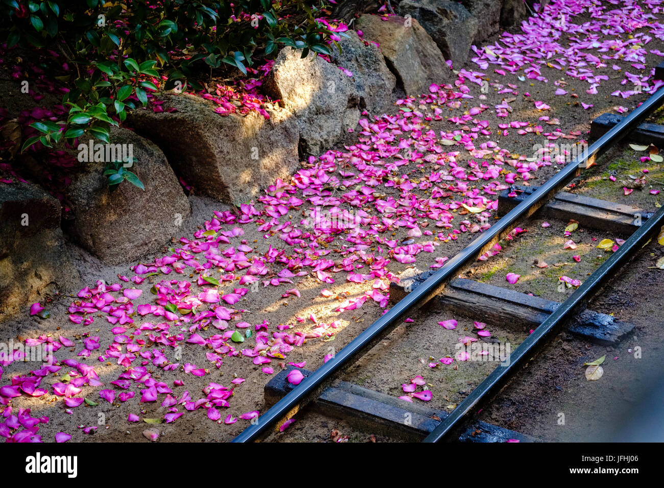 Cockington green gardens australia hi-res stock photography and images ...
