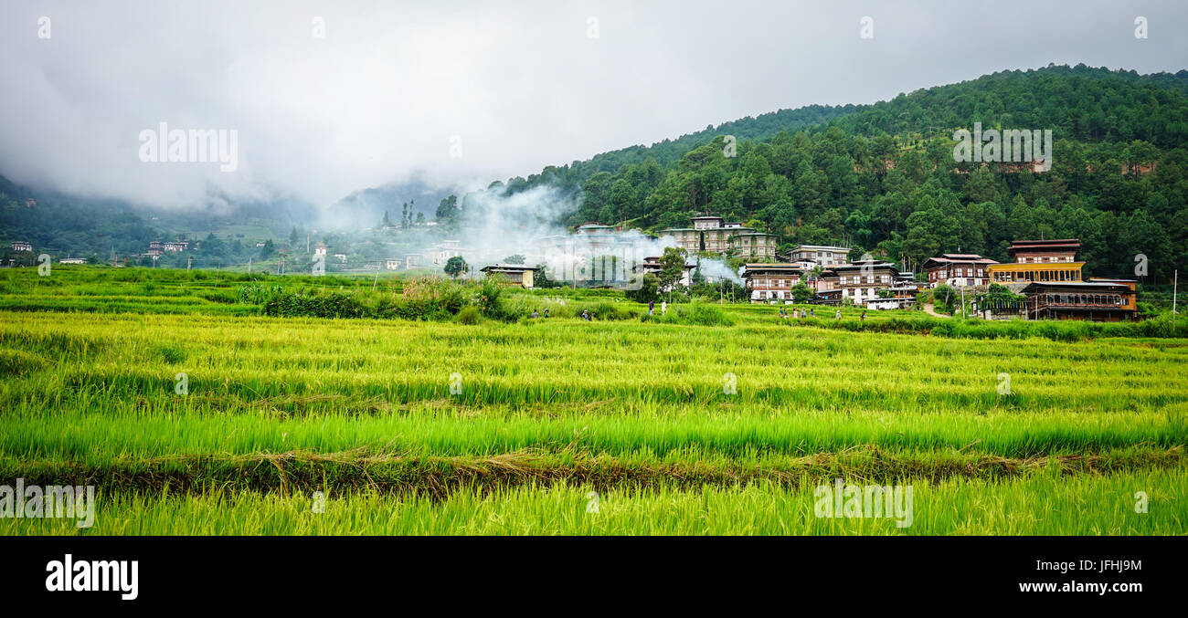 Terraced farmland with paddy field at the Sopsokha village, Bhutan ...