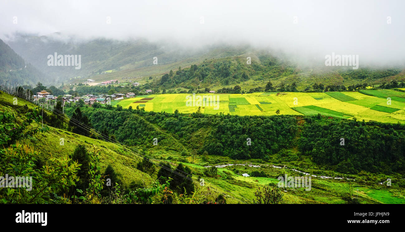 Terraced rice field at the valley in Bhutan. Bhutan is located on the ...