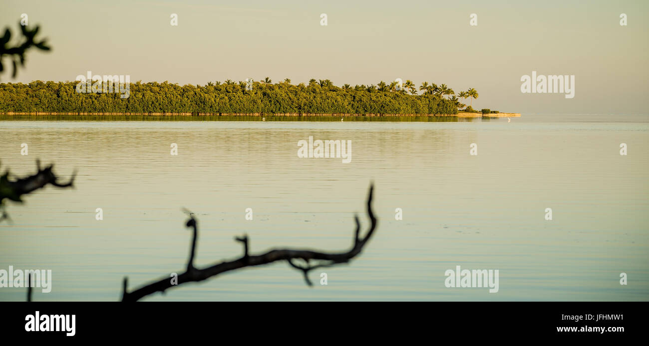 beautiful beach and ocean scenes in florida keys Stock Photo - Alamy