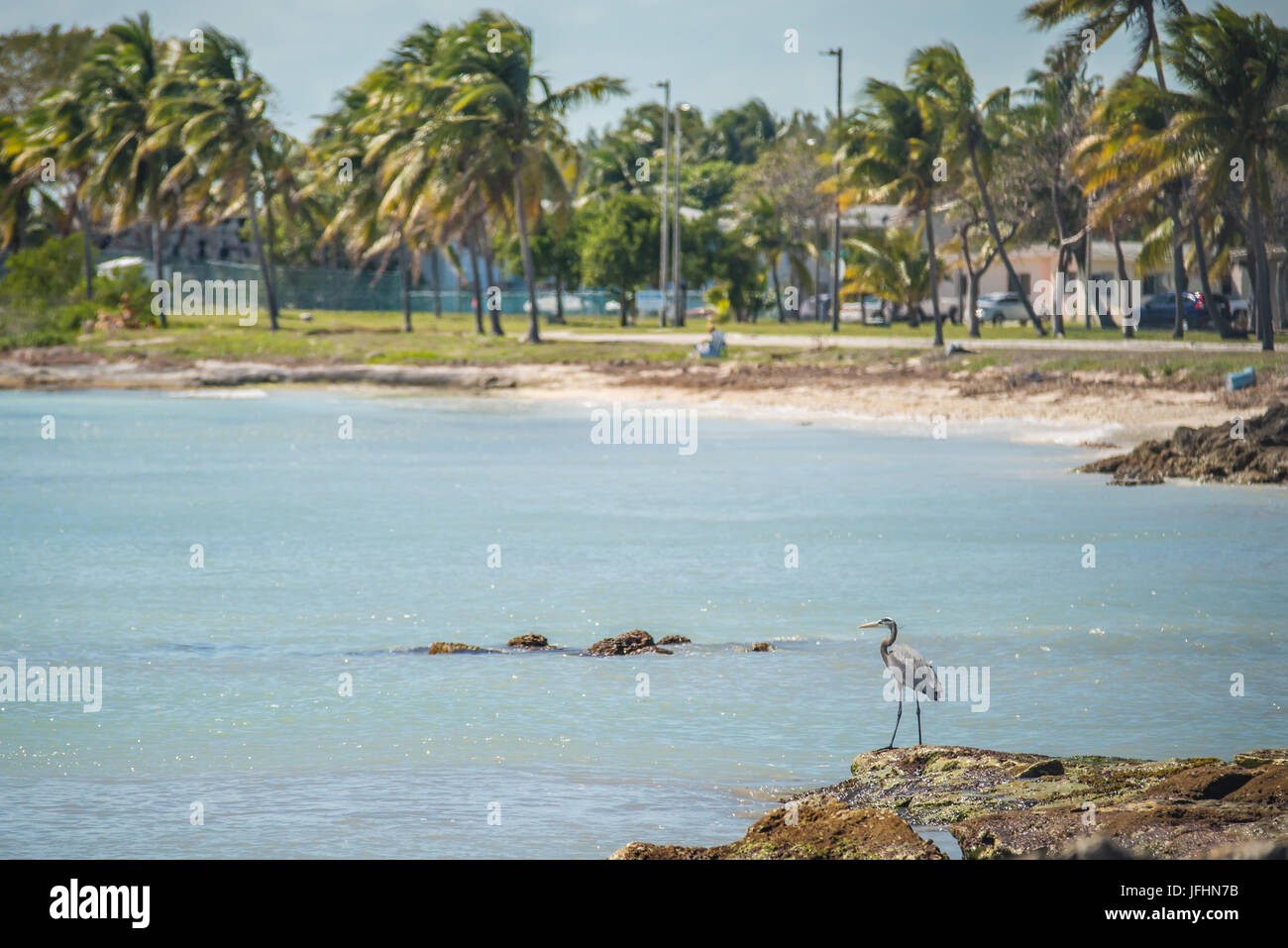 beautiful beach and ocean scenes in florida keys Stock Photo - Alamy