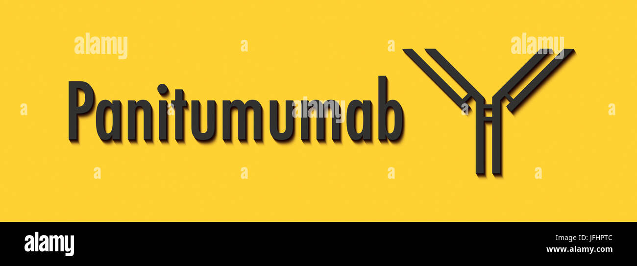 Panitumumab monoclonal antibody drug. Targets epidermal growth factor ...