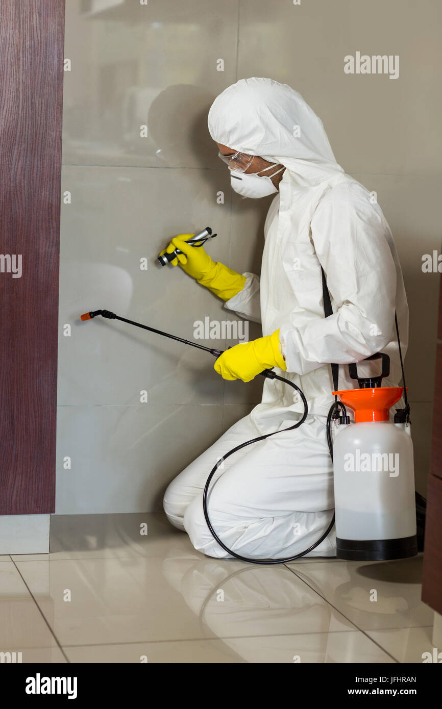 Side view of worker using insecticide on wall Stock Photo - Alamy