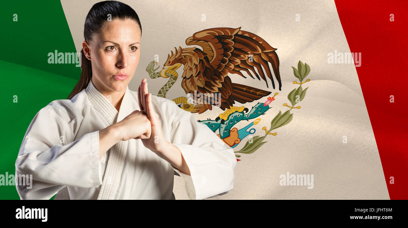 Composite image of female fighter performing hand salute Stock Photo ...