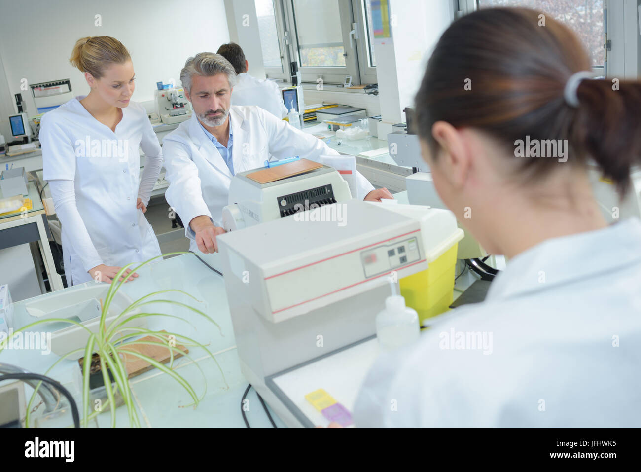 the laboratory interns Stock Photo - Alamy