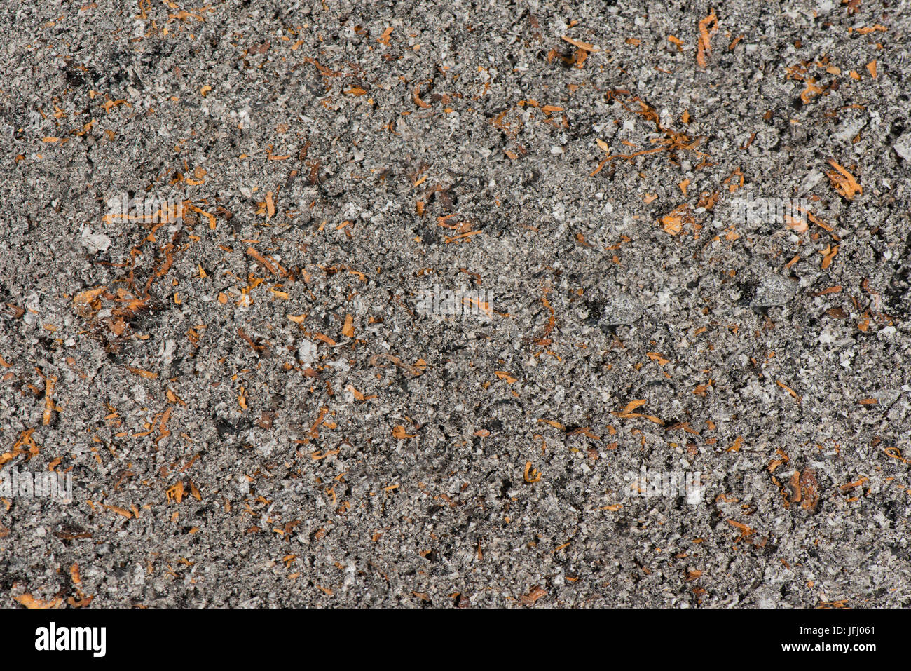 Cigarette cinder photographed as a background and texture Stock Photo ...