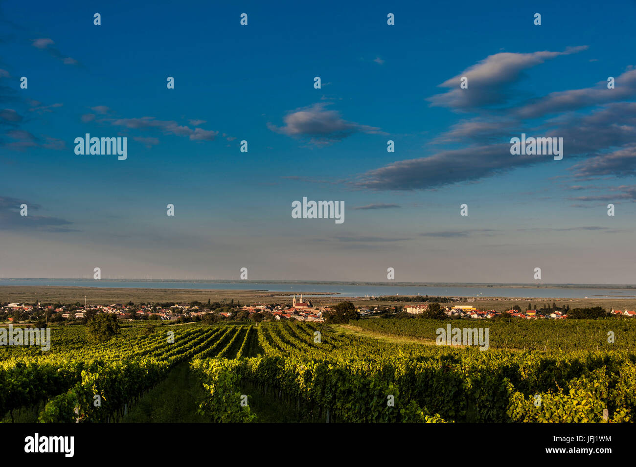 Austria, Burgenland, Rust, Lake Neusiedl Stock Photo - Alamy
