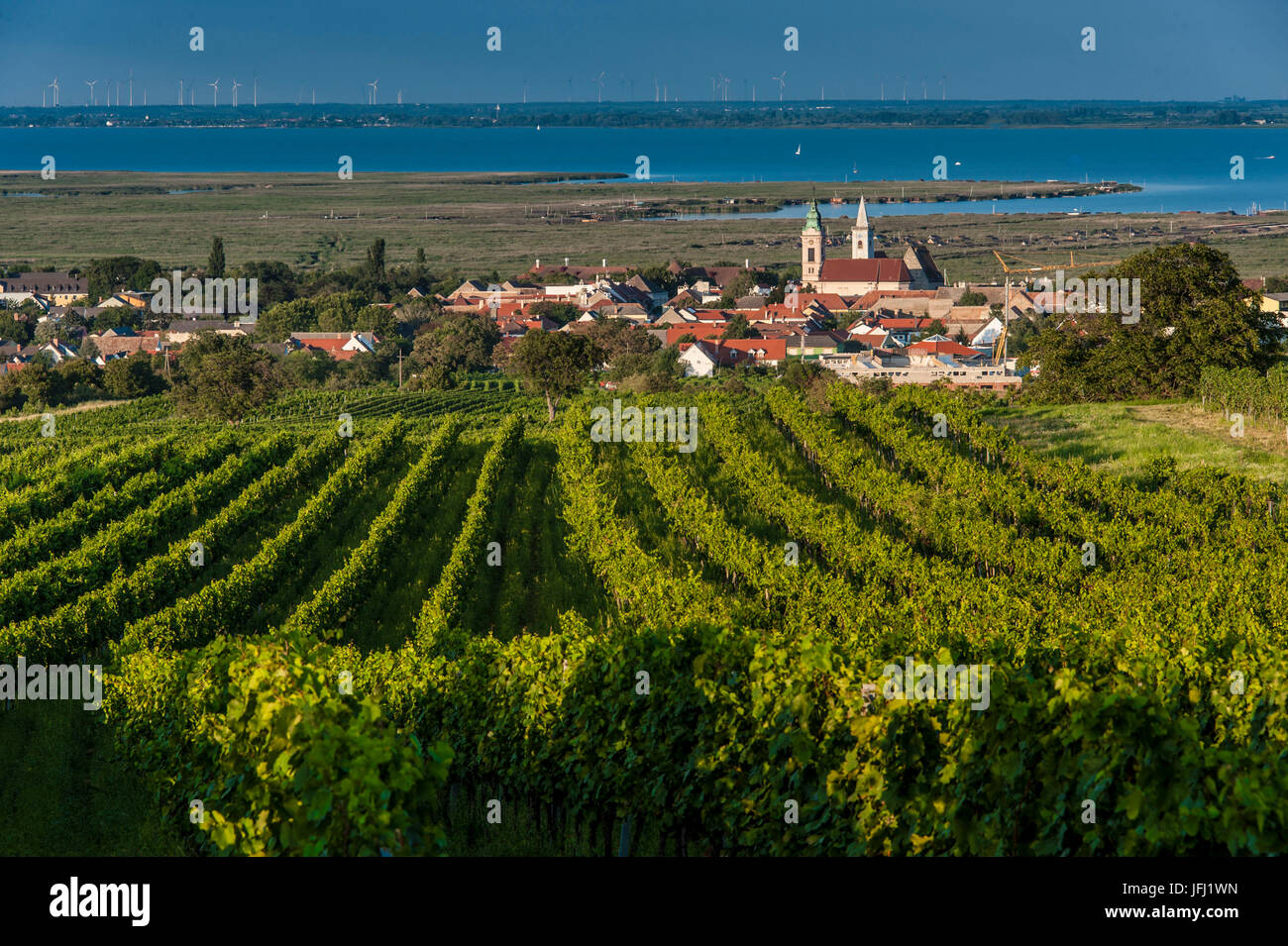 Austria, Burgenland, Rust, Lake Neusiedl Stock Photo - Alamy
