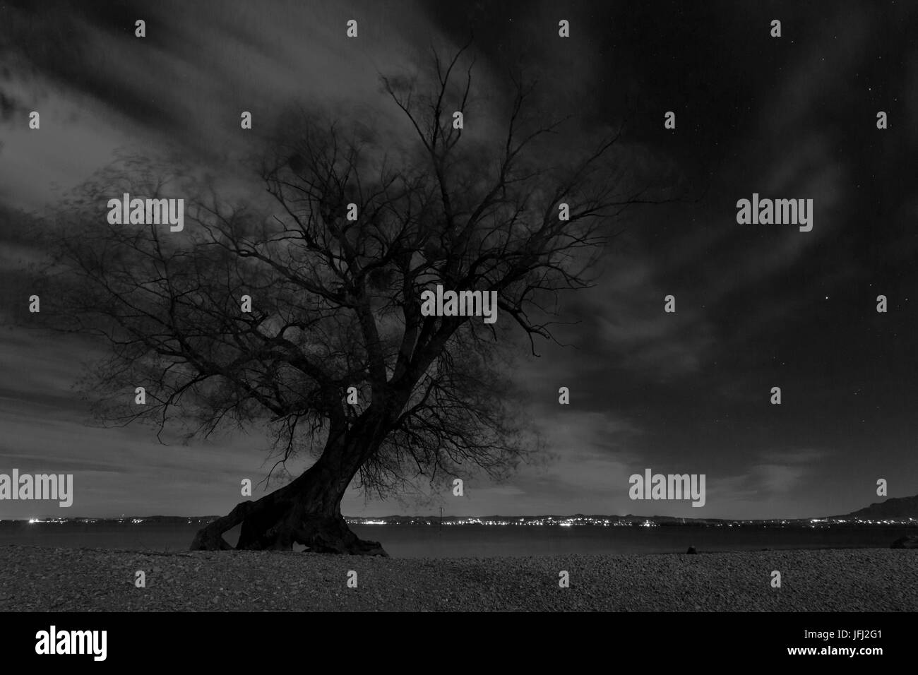 Lonesome Tree High Resolution Stock Photography and Images - Alamy
