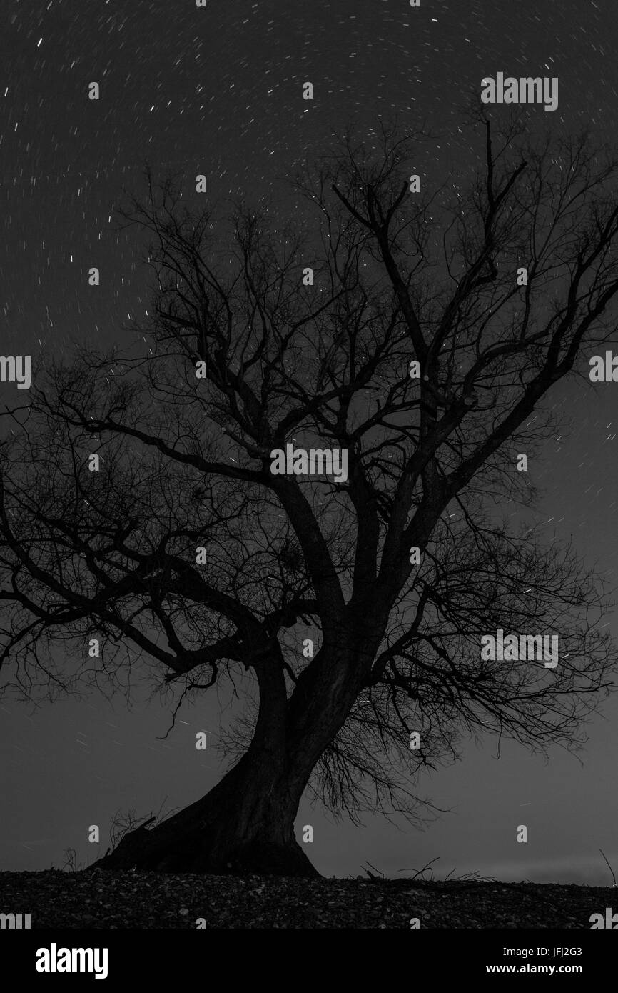 Star valley Black and White Stock Photos & Images - Alamy