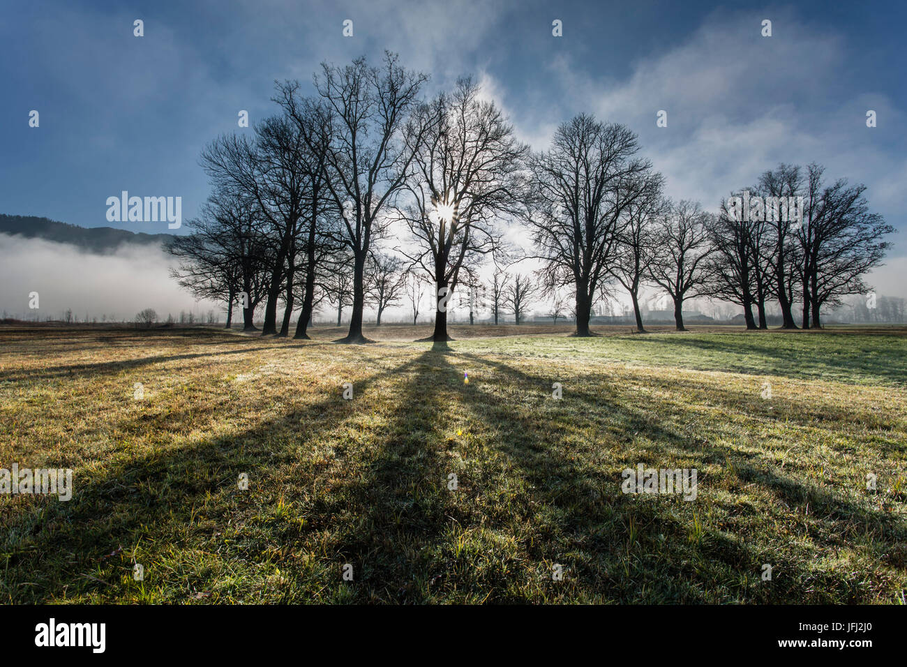 Blue sky and fog hi-res stock photography and images - Alamy