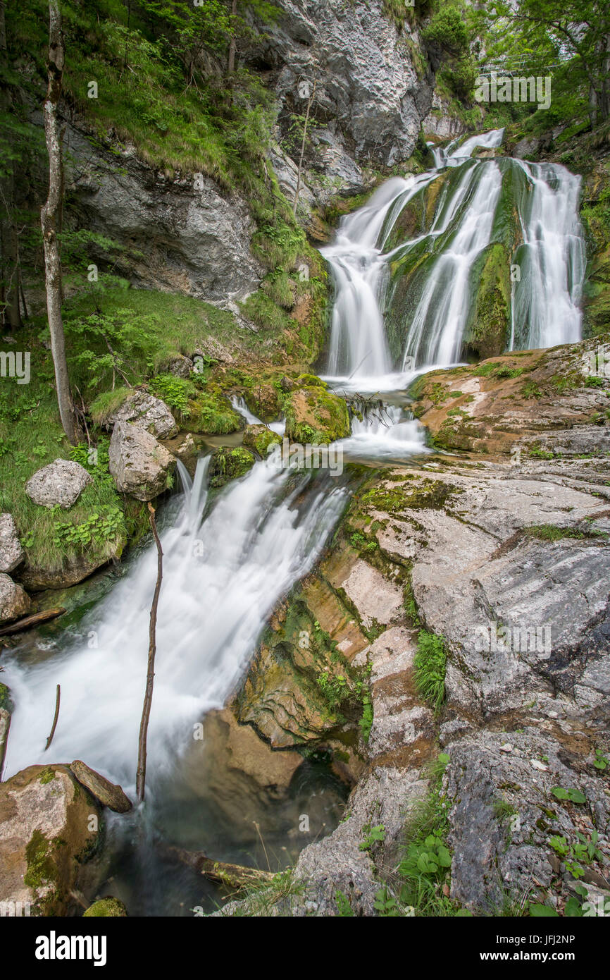 Waterfall, rock, wood, cascades Stock Photo - Alamy