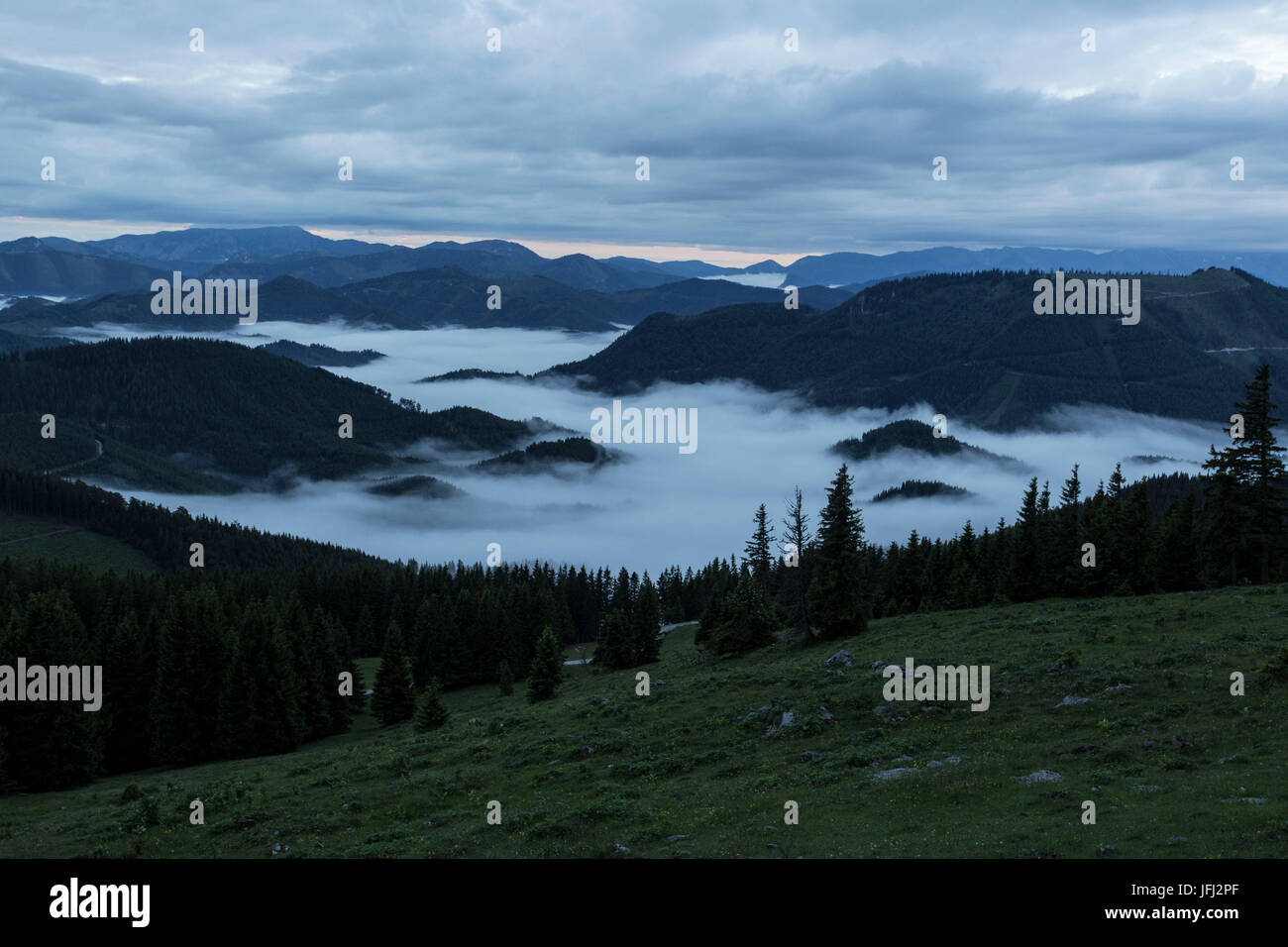 Valley, fog, clouds, wood Stock Photo - Alamy