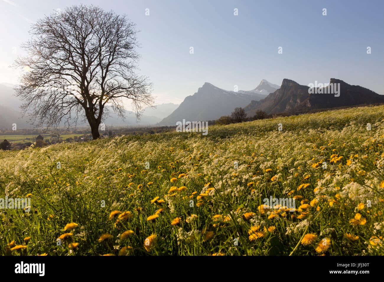 Spring scenery hi-res stock photography and images - Alamy