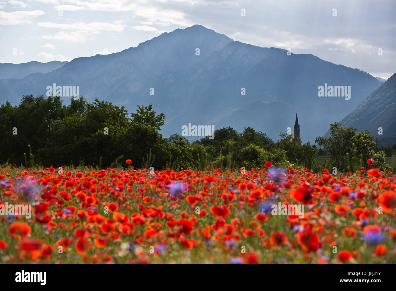 Domat ems hi-res stock photography and images - Alamy