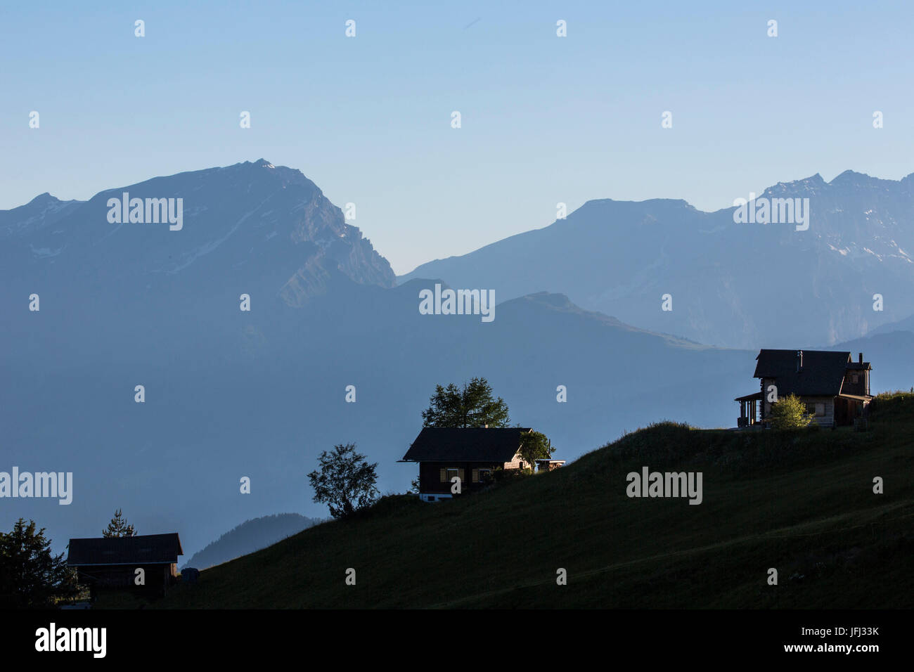 Late afternoon on the alp Stock Photo - Alamy