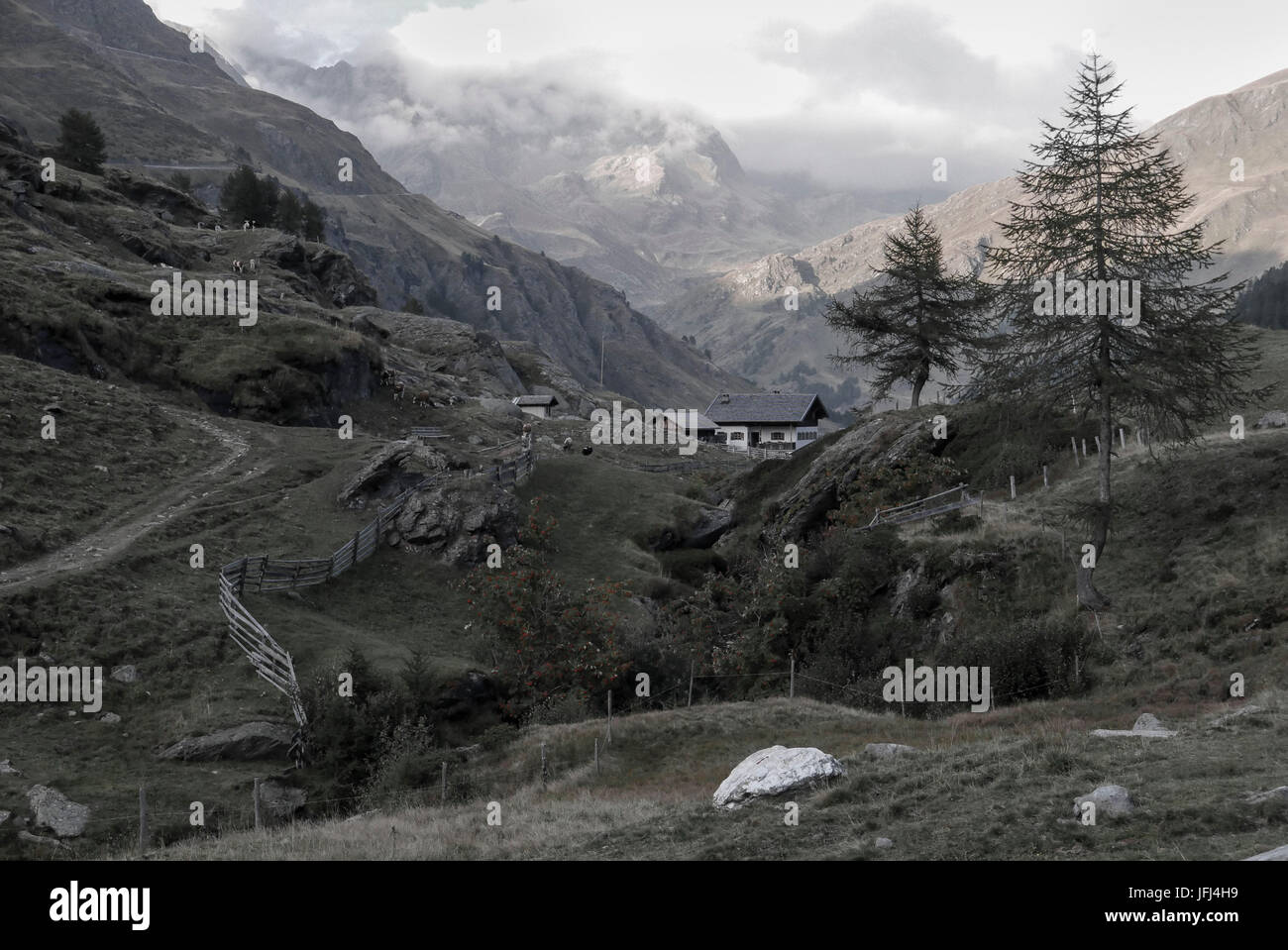 Seeber alp in the seeber valley hi-res stock photography and images - Alamy