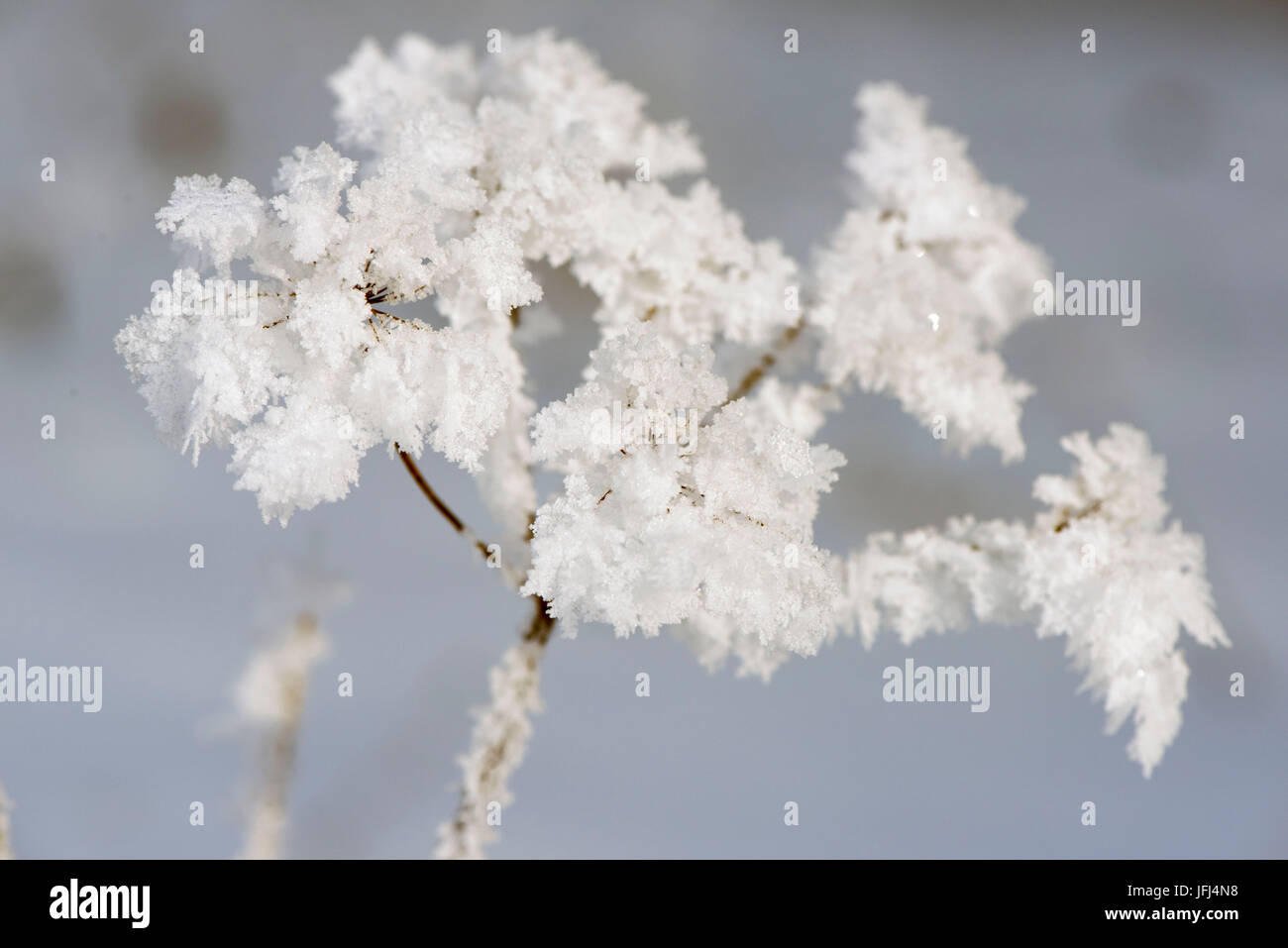 Icy cold winters hi-res stock photography and images - Alamy