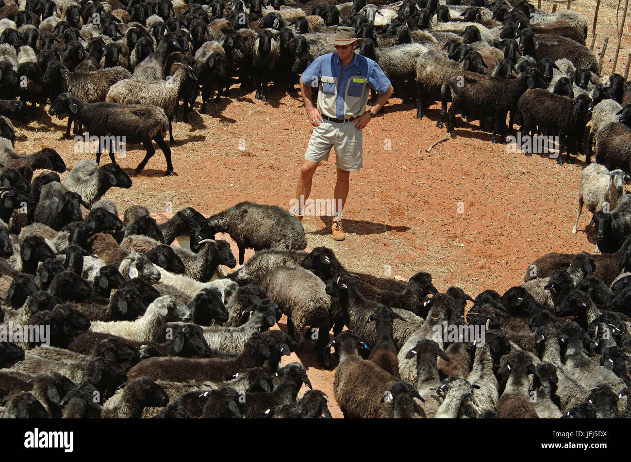 Africa, Namibia, Kalahari, Tivoli farm, owner Reinhold Schreiber with ...