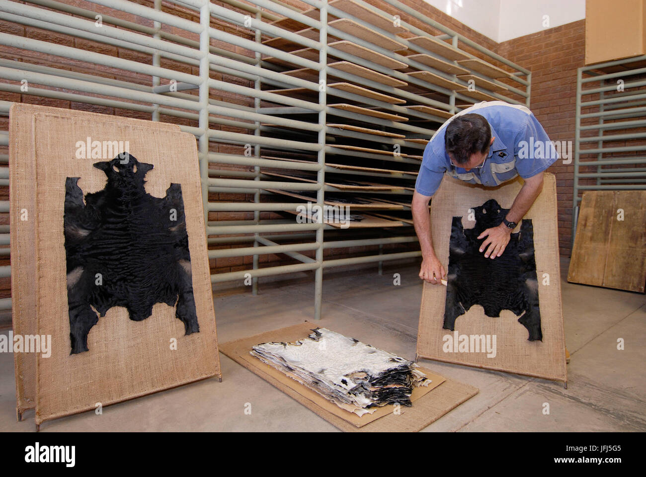 Swakara hi-res stock photography and images - Alamy