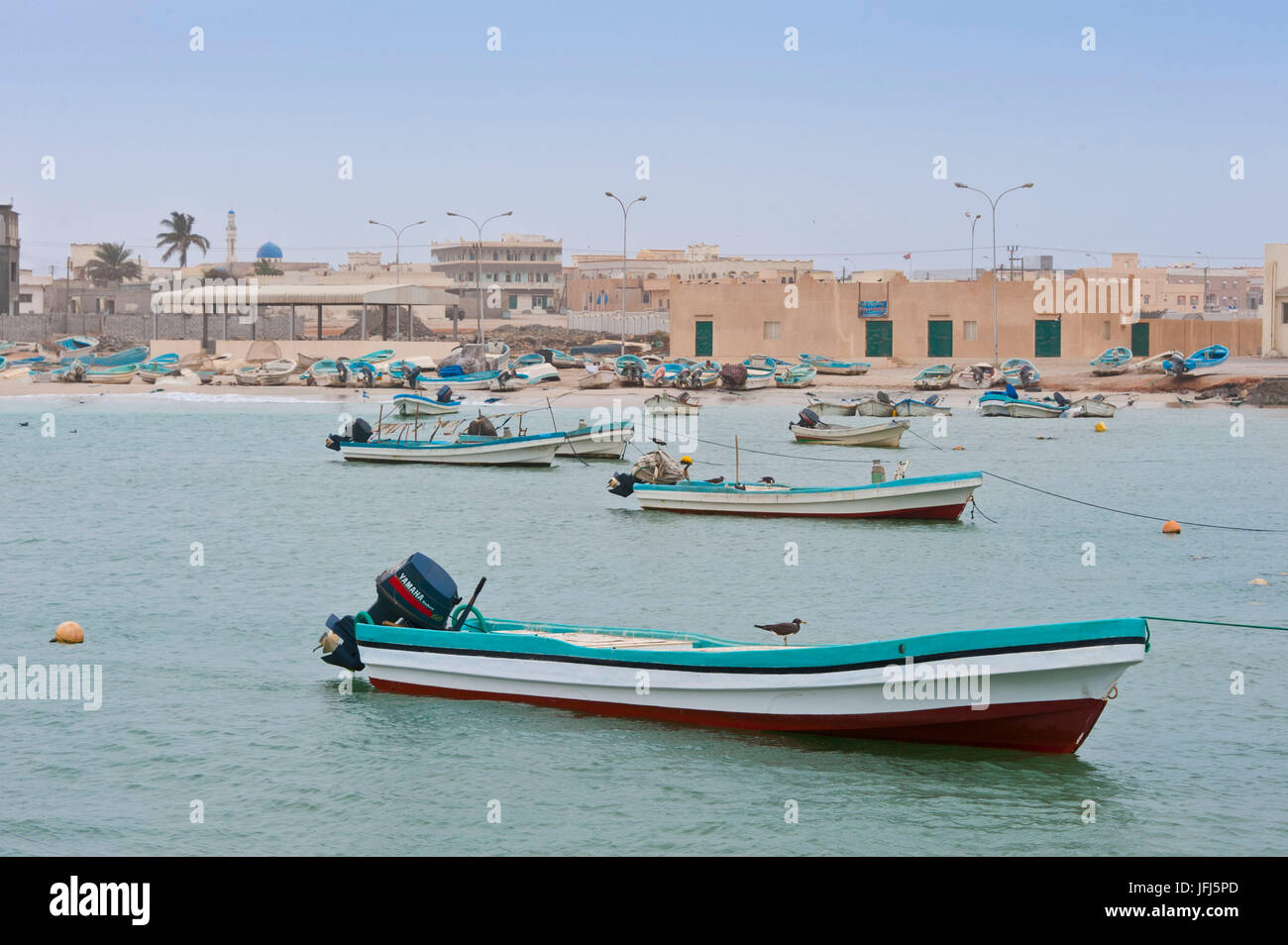 Arabia, Arabian peninsula, Sultanate of Oman, Dhofar, the south of Oman ...