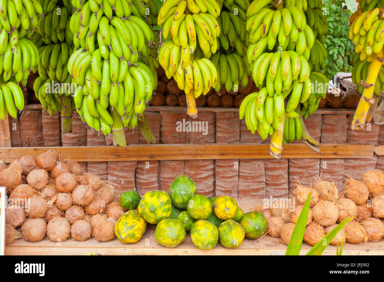 Oman fruit salalah hi-res stock photography and images - Alamy