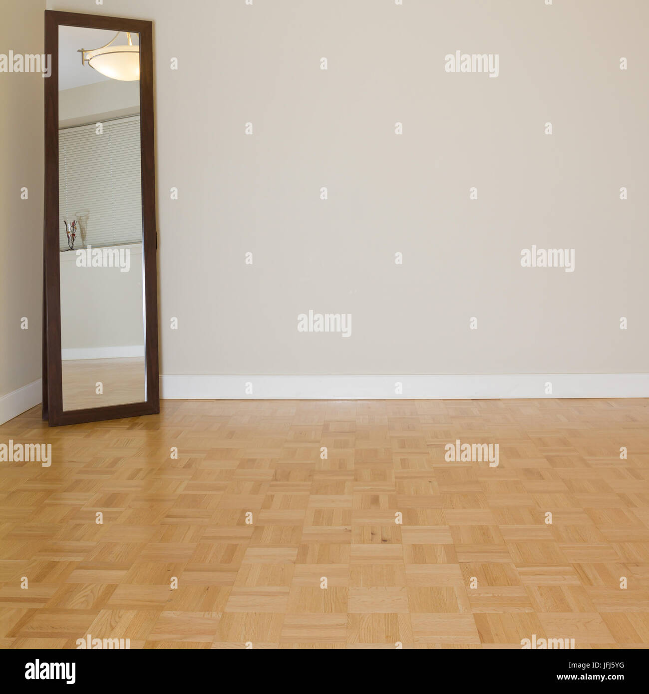 Empty Living Room with mirror in a new apartment Stock Photo - Alamy