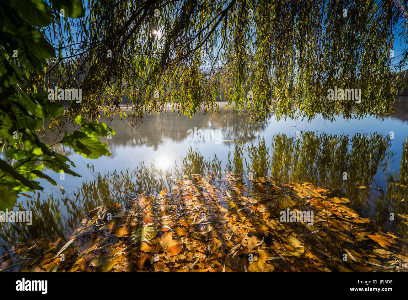 Autumn colours and drifting leaves in the lake Stock Photo - Alamy