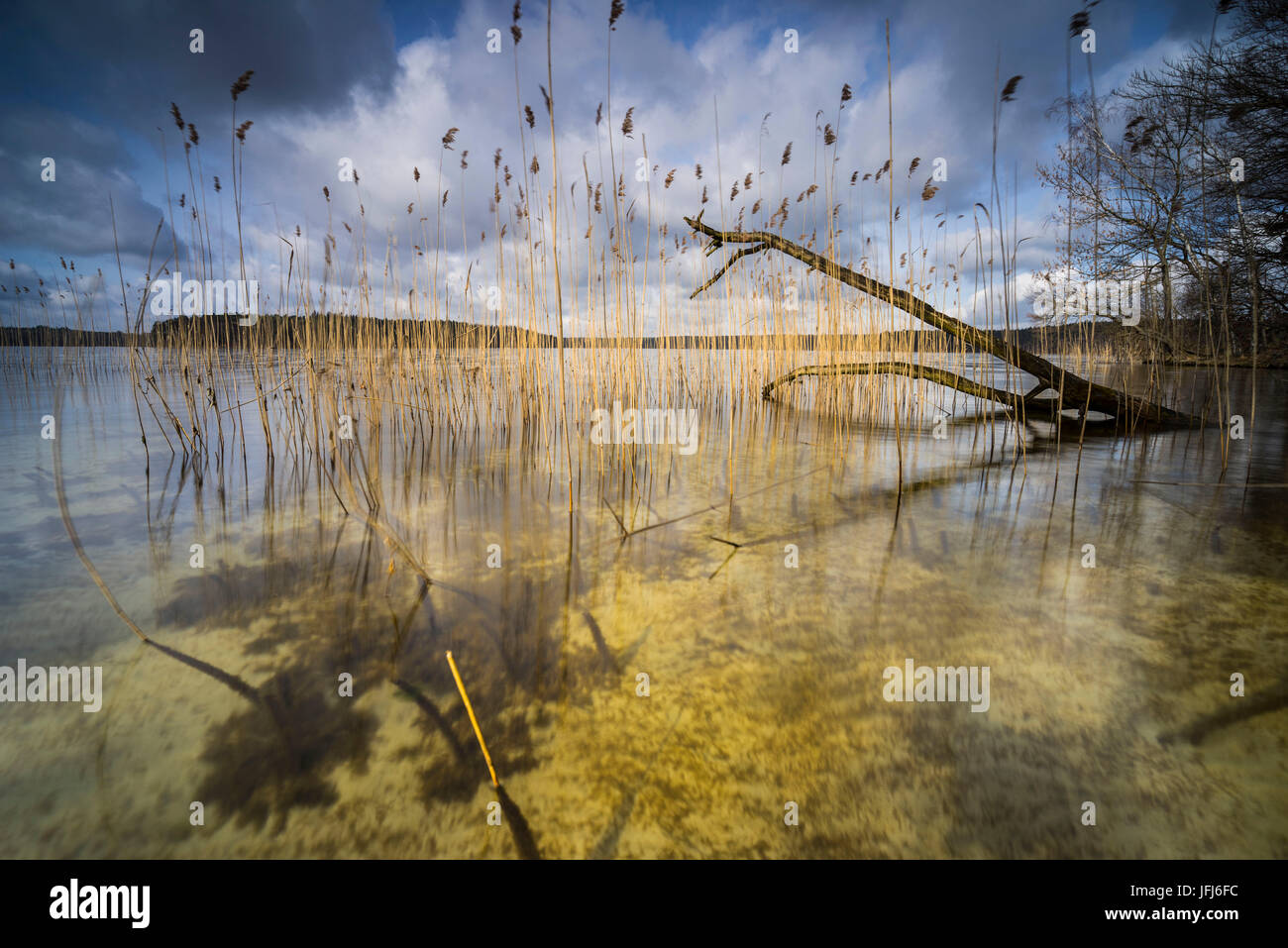 Stechlin neuglobsow hi-res stock photography and images - Alamy