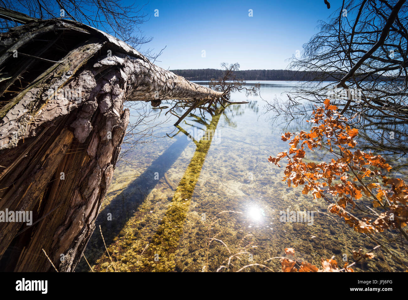 Großer Stechlinsee High Resolution Stock Photography and Images - Alamy