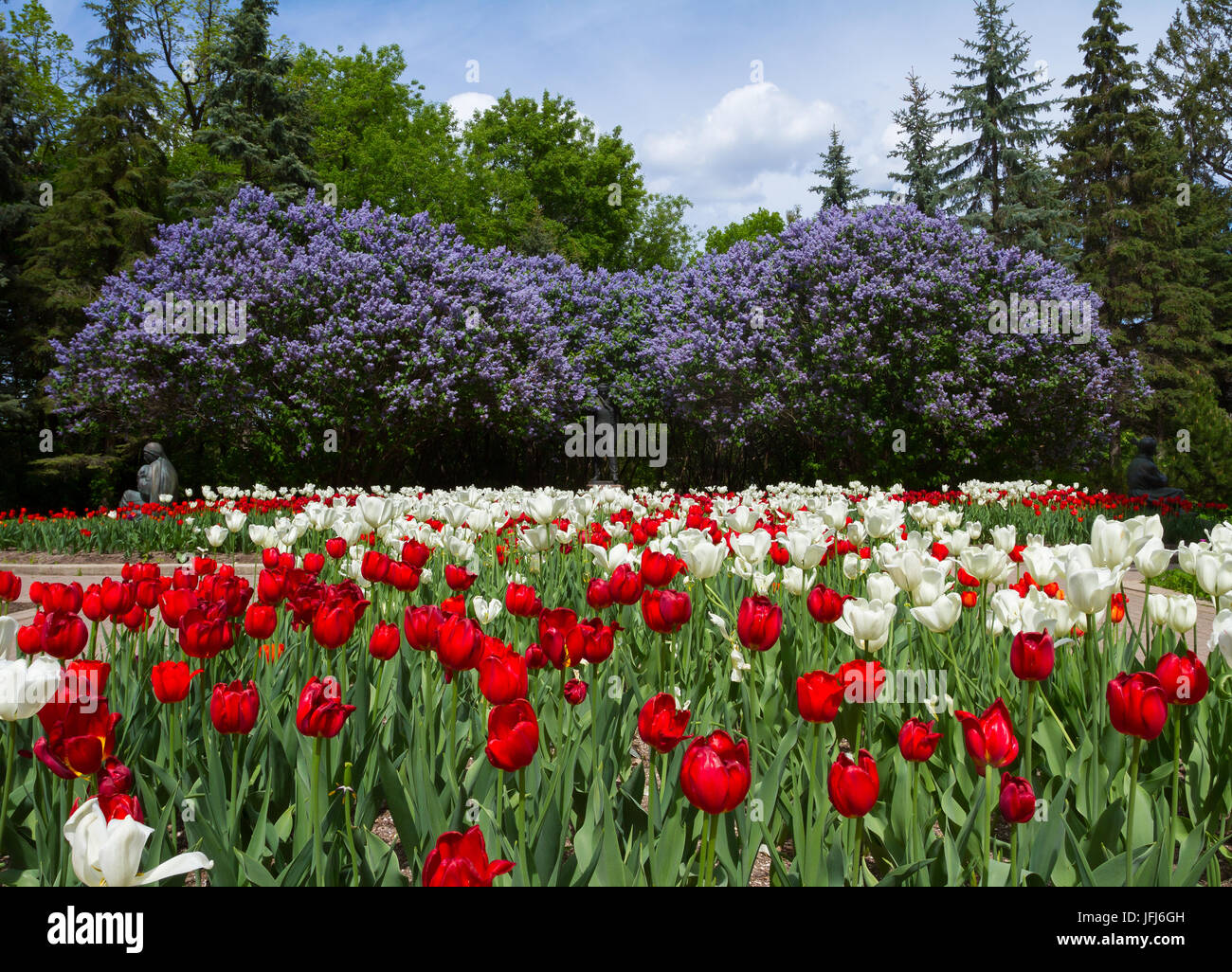 Spring garden colors hi-res stock photography and images - Alamy