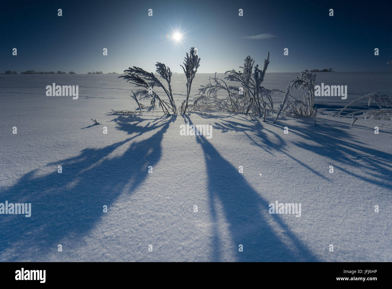 Plain scenery hi-res stock photography and images - Alamy
